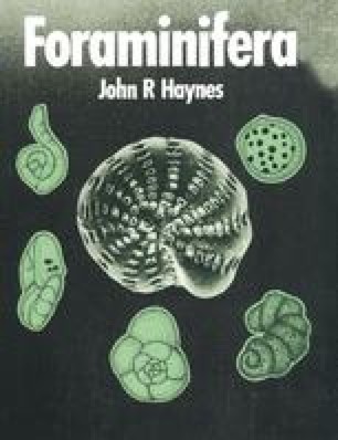 Classification of the Foraminifera | SpringerLink