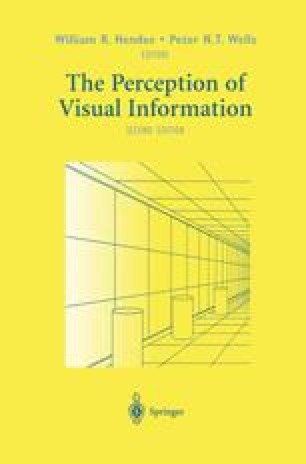 Human Response to Visual Stimuli | SpringerLink