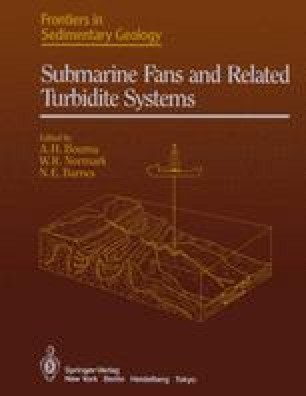 Submarine Fan Models: Problems and Solutions | SpringerLink