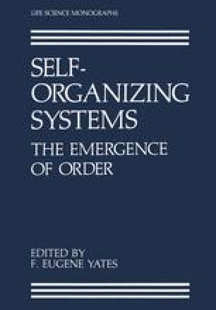 Dynamics and Self-Organization | SpringerLink