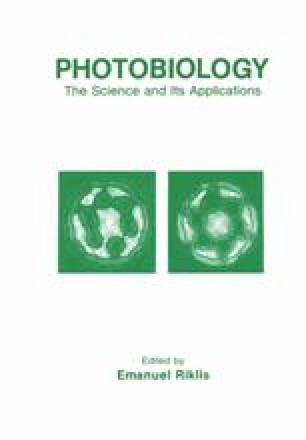 Franz Greiter — The Man and His Work | SpringerLink