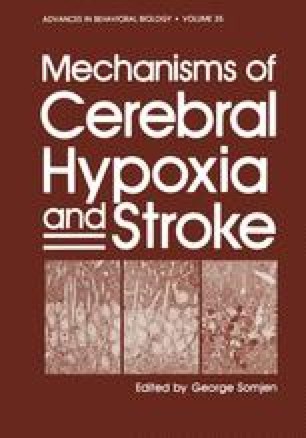 Cerebral Hypoxia during Repetitive Seizures | SpringerLink