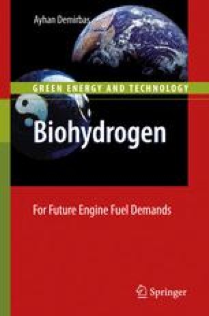 Biohydrogen | SpringerLink