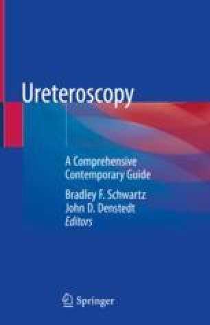 Single-Use Flexible Ureteroscopes | SpringerLink