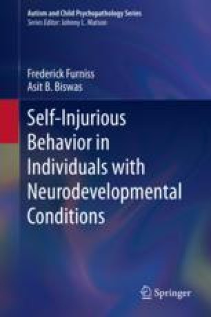 Intervention with Self-Injurious Behavior | SpringerLink