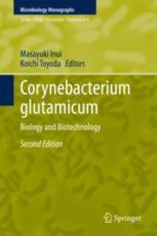 Amino Acid Exporters in Corynebacterium glutamicum | SpringerLink