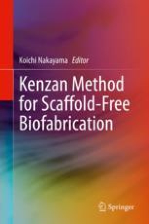 Position of the Kenzan Method in the Space-Time of Tissue Engineering ...