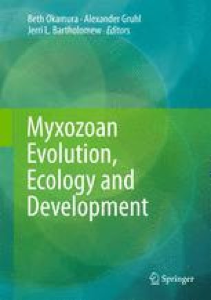 Classification and Phylogenetics of Myxozoa | SpringerLink