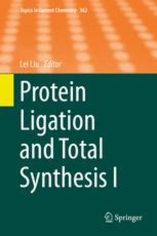 Total Synthesis of Glycosylated Proteins | SpringerLink