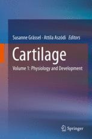 Cartilage Proteoglycans | SpringerLink
