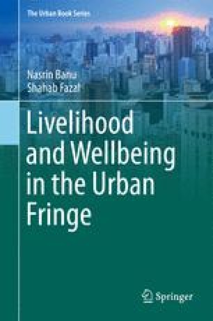 Urban Fringe: The Concept | SpringerLink