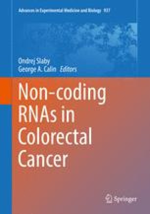 Non-coding RNAs: Classification, Biology and Functioning | SpringerLink