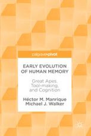 Early Tool-Making and the Evolution of Human Memory Systems in the ...