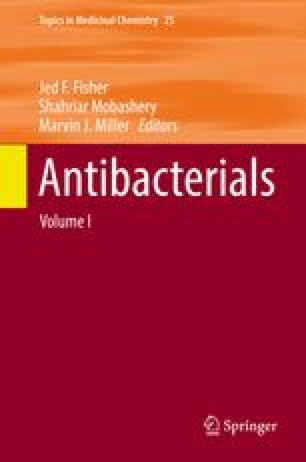Synergistic Antibiotic Combinations | SpringerLink