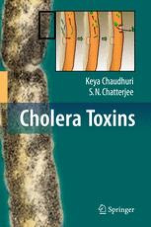 Cholera Toxin (CT): Structure | SpringerLink