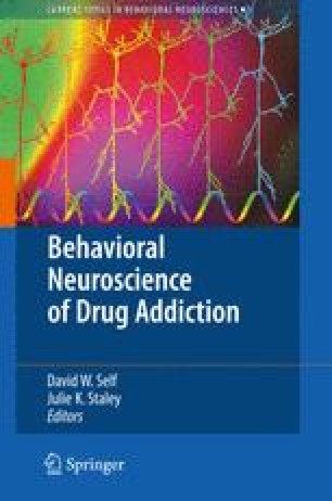 Sensitization Processes in Drug Addiction | SpringerLink