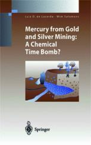 The Use of Mercury Amalgamation in Gold and Silver Mining | SpringerLink