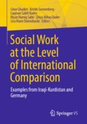 Professional Identity in Social Work | SpringerLink