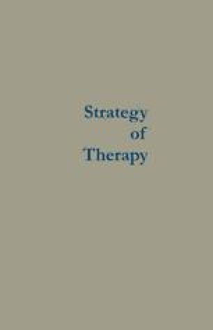 Therapeutic Process: Definitions and Theory | SpringerLink
