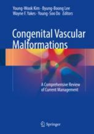 New Arteriographic Classification of AVM Based on the Yakes ...