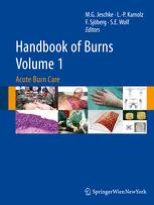 Medical documentation of burn injuries | SpringerLink