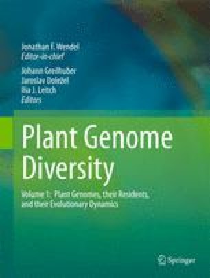 Plant Mitochondrial Genome Diversity: The Genomics Revolution ...