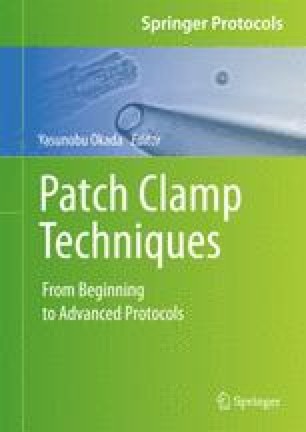 Perforated Whole-Cell Patch-Clamp Technique: A User’s Guide | SpringerLink