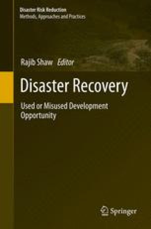 Post Disaster Recovery: Issues and Challenges | SpringerLink