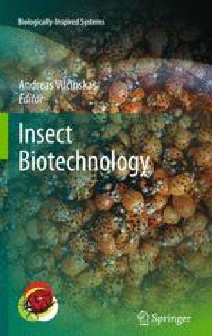 Insect-Inspired Technologies: Insects as a Source for Biomimetics ...