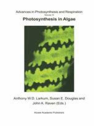 Carbohydrate Metabolism and Respiration in Algae | SpringerLink
