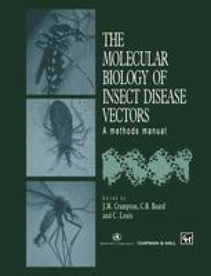 Culture and analysis of the insect fat body | SpringerLink