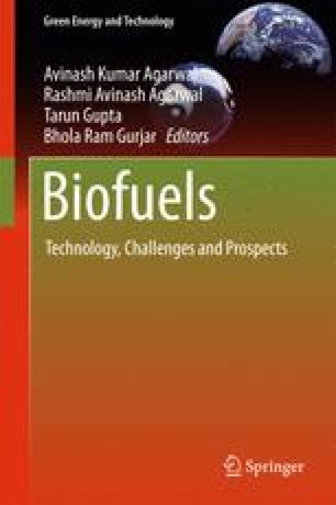 Introduction to Biofuels | SpringerLink