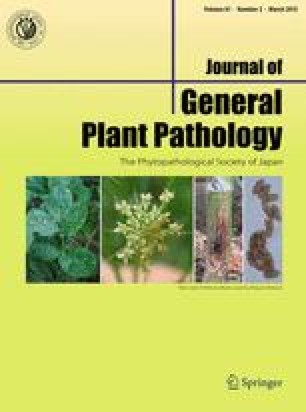 Rickettsia-related bacteria associated with papaya plants showing ...