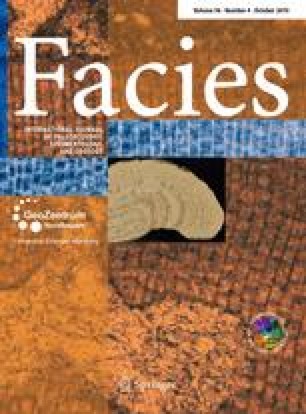 New insights into Lithocodium aggregatum Elliott 1956 and Bacinella ...