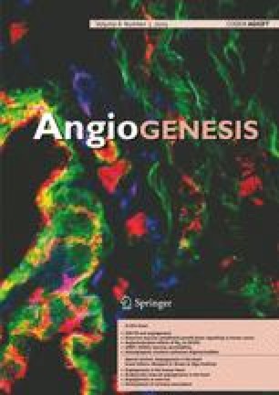 Angiogenesis during exercise and training | SpringerLink