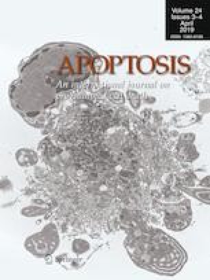 Chemotherapeutic paclitaxel and cisplatin differentially induce ...
