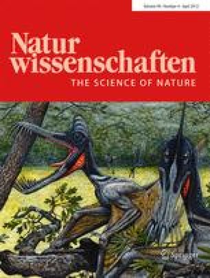 Large- and small-size advantages in sneaking behaviour in the dusky ...