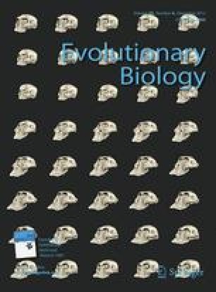 Brain Size Growth and Life History in Human Evolution | SpringerLink