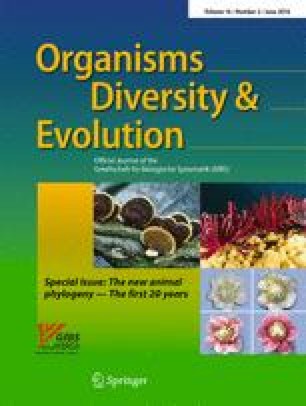 On 20 years of Lophotrochozoa | SpringerLink