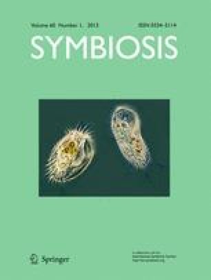Development of areolae and growth of the peripheral prothallus in the ...