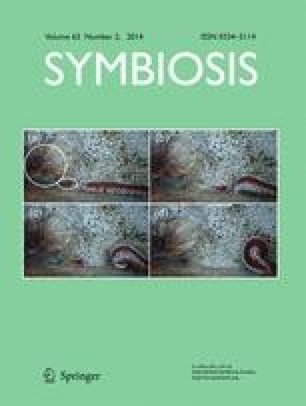 Dynamics of the growth, life history transformation and photosynthetic ...