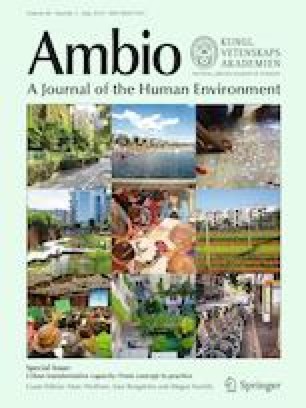 Assessing transformative capacity for sustainable urban regeneration: A ...