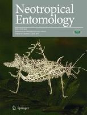 A Review of the Copitarsia decolora (Guenée) (Lepidoptera: Noctuidae ...