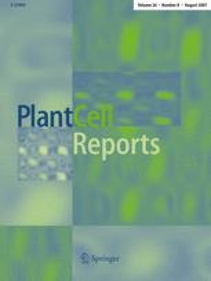 The cauliflower mosaic virus (CaMV) 35S promoter sequence alters the ...