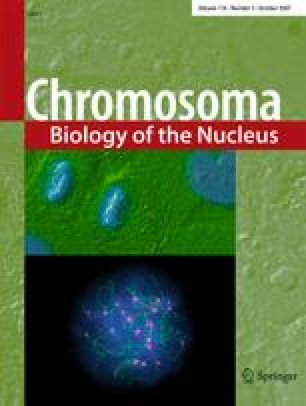 Evolution of ZZ/ZW and XX/XY sex-determination systems in the closely ...