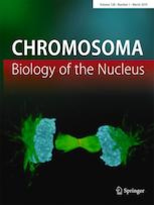 Chromothripsis, a credible chromosomal mechanism in evolutionary process | SpringerLink