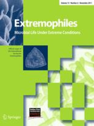 Salinarchaeum laminariae gen. nov., sp. nov.: a new member of the ...