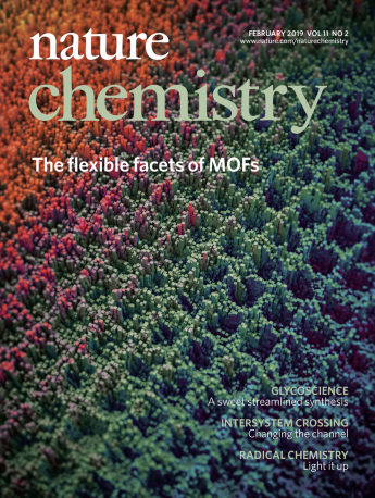 Subscribe to Nature Chemistry