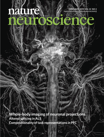 Subscribe to Nature Neuroscience