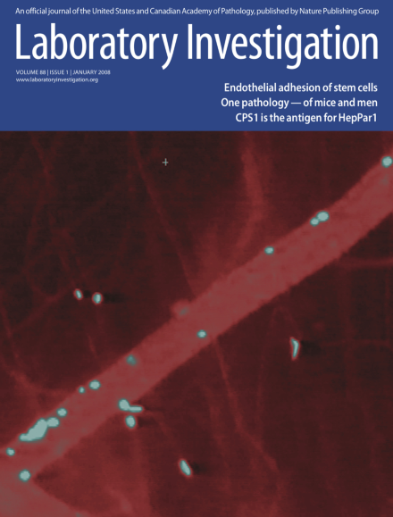 Volume 88 Issue 1, January 2008